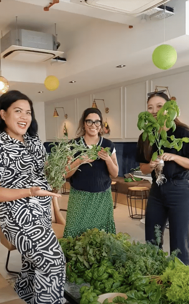Grobrix - the world's first modular edible green wall