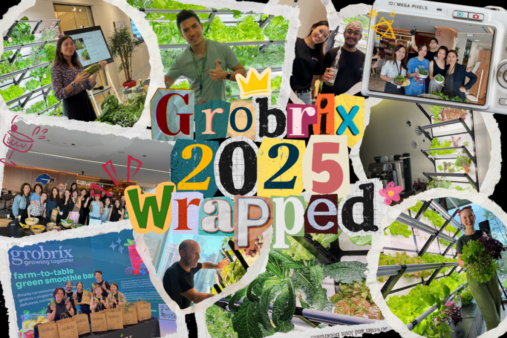 2025: The year we grew together - Grobrix